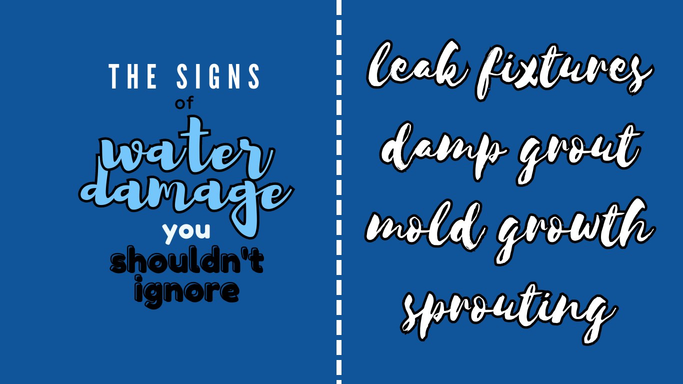 The Dangers of Untreated Water Damage to Your Health and Home ...