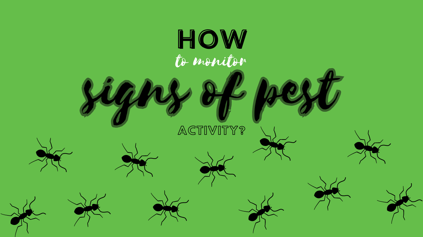 The Role of Proper Sanitation and Hygiene in Pest Prevention - Lookout ...