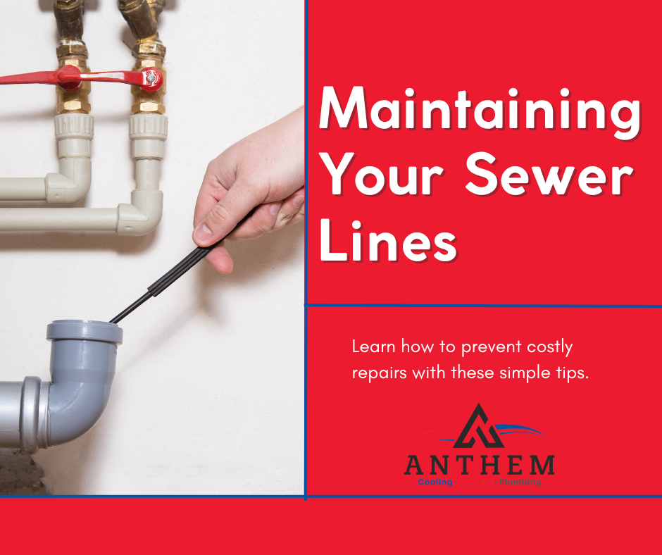 Main Line Plumbing Clog: Causes and Fixes | Anthem Plumbing
