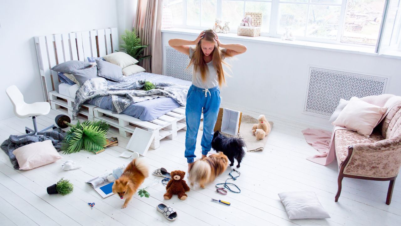 Managing Destructive Chewing Behaviors in Dogs – Pet Summits