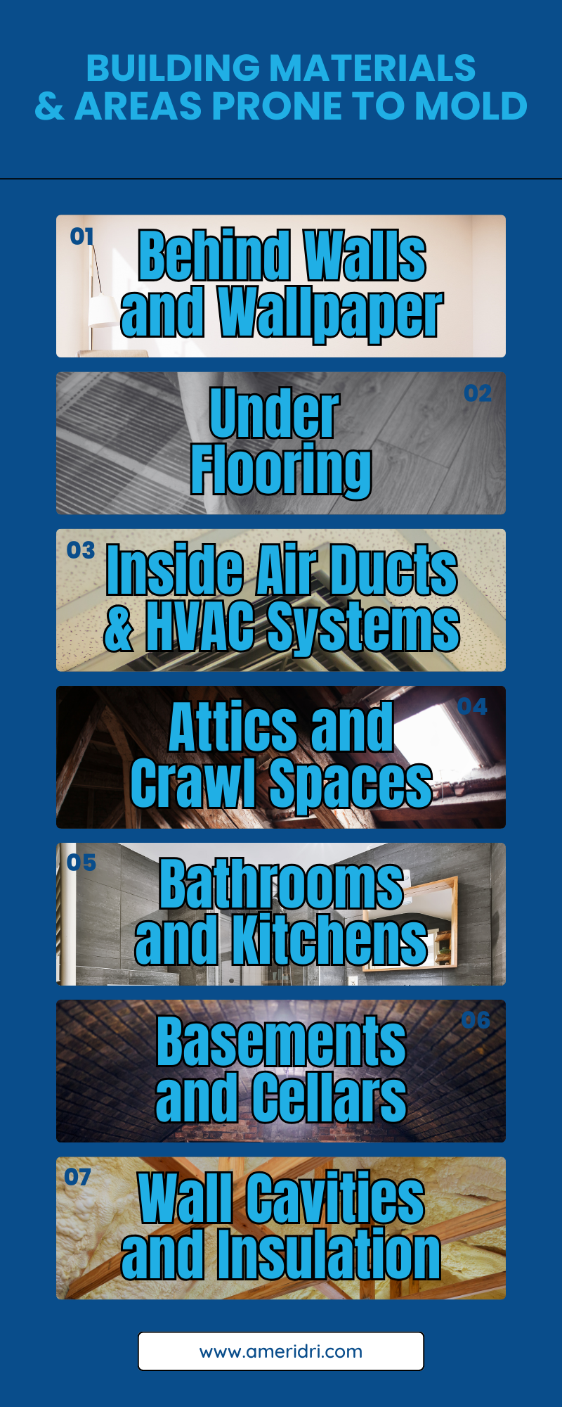 Spotting the Warning Signs of a Mold Problem in Your Home (2023)