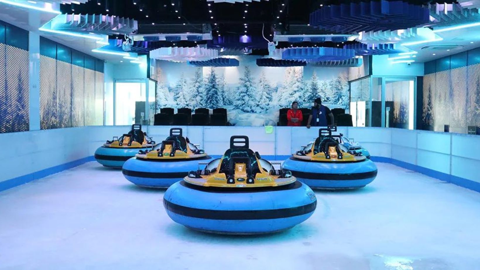 Adult Bumper Cars For Ultimate Park Fun - Toy Exploration