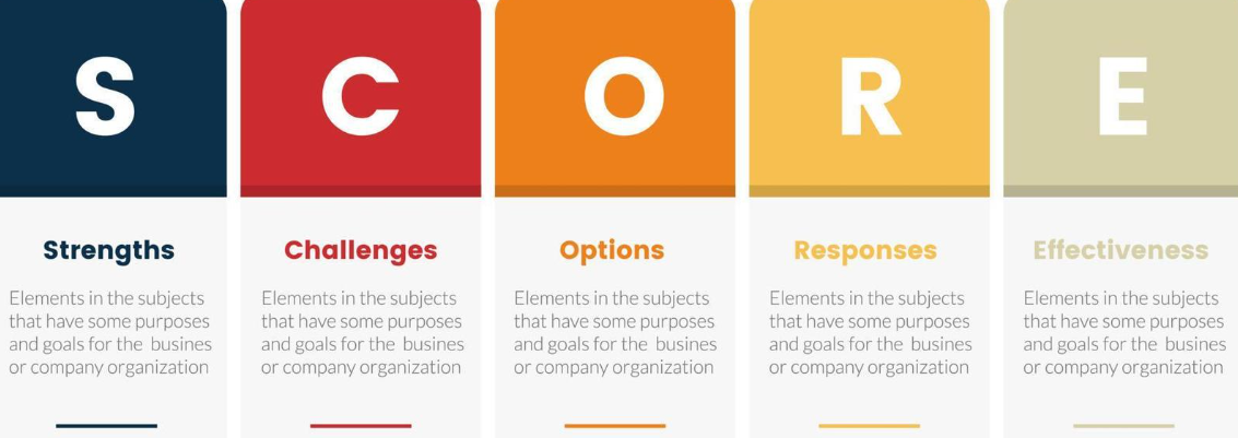 Infographic from Vecteezy