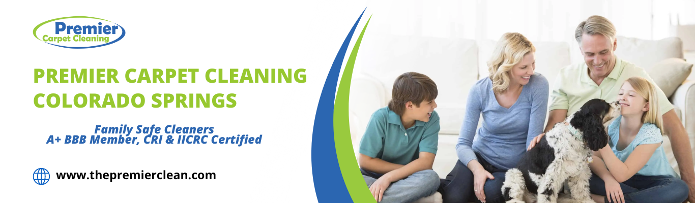 Find the Best Dry Carpet Cleaner: Your Ultimate Guide - Premier Carpet ...