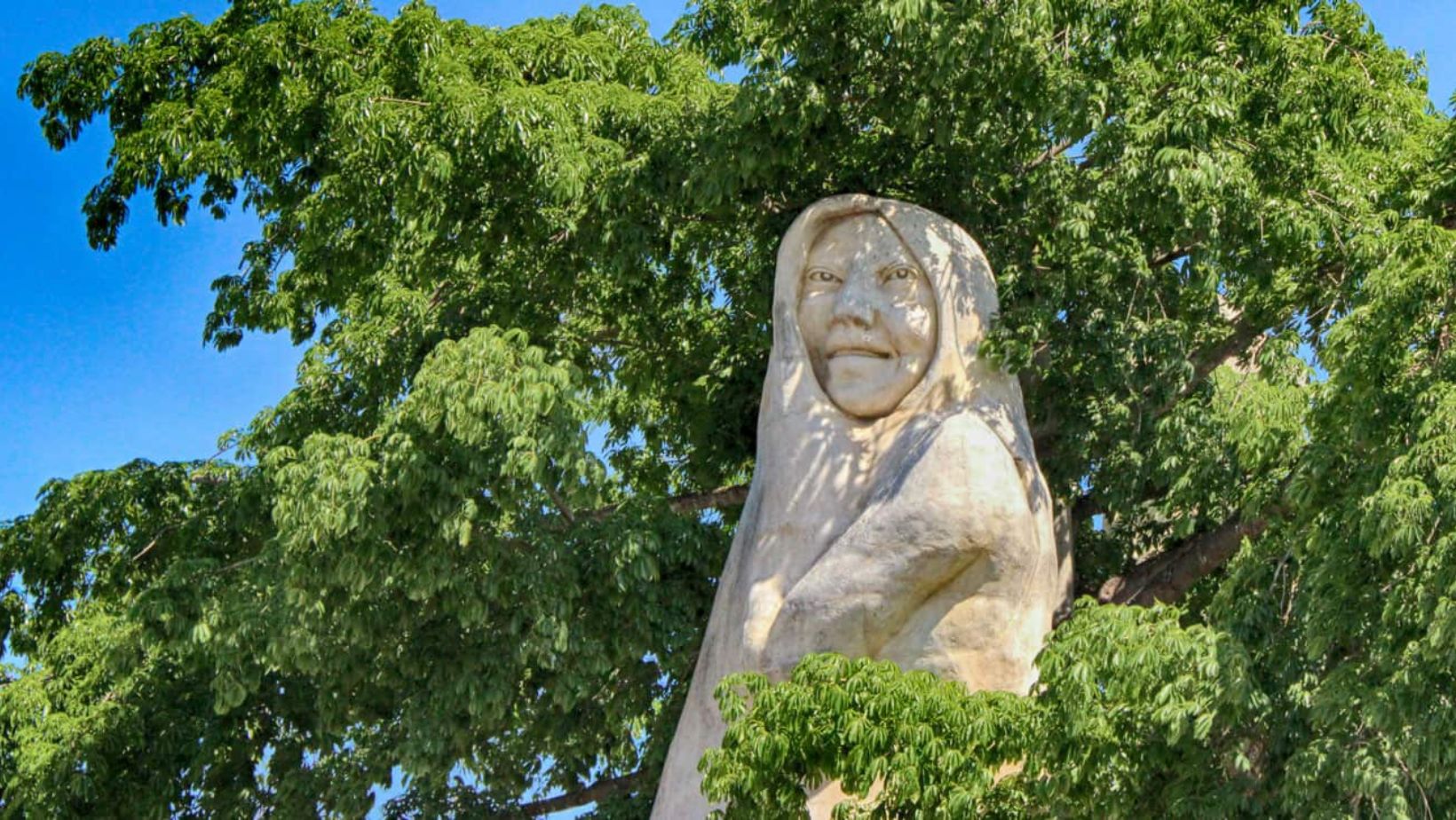 Ceiba Tree: Roots of Maya Culture | AncientPedia