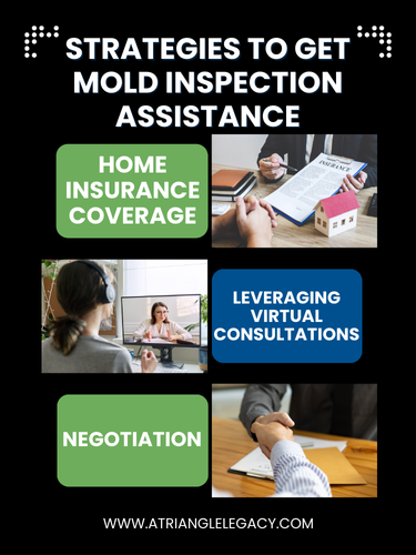 How to Get a Free Mold Inspection: A Guide for Homeowners - Disaster ...